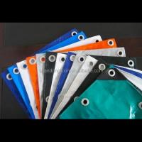 China LDPE Coated Plastic Canvas Tarpaulin Waterproof 50-300 GSM UV Treated for sale
