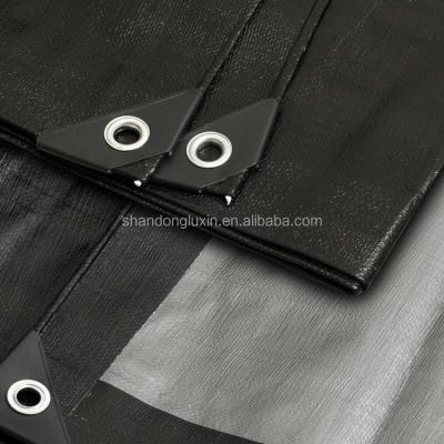 China Woven PE Tarpaulin 2m-100m Width Waterproof Tear Resistant for Construction Truck Cover for sale