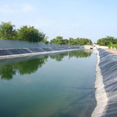 China 2mm Reinforced HDPE Geomembrane Liner for Swimming Pool Leak Prevention for sale
