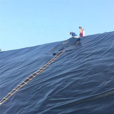 China Industrial HDPE Geomembrane 1m-8m Width for Waterproof Lake Pond Lining for sale