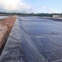 China HDPE Geomembrane 0.2mm-3mm Thickness for Fish Pond and Landfill Liner for sale