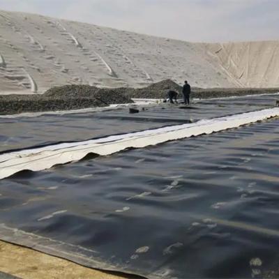 China Double Texture HDPE Geomembrane Versatile Solution for Dam Liner and Fish Pond Liner for sale