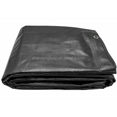 China LDPE Coated Poly Tarps Heavy Duty Outdoor Protection Waterproof 50-300gsm 2m-100m Width for sale