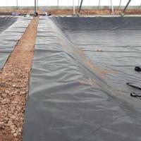 China Waterproof Geomembrane for Landfill Project 50-200m Length Online Technical Support for sale