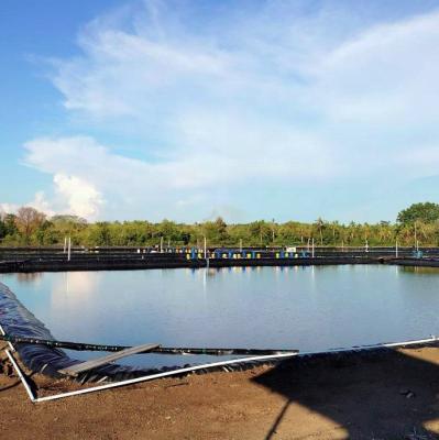 China HDPE Liner Geomembrane 1m-8m Width for Fish Pond and Shrimp Pond Aquaculture for sale