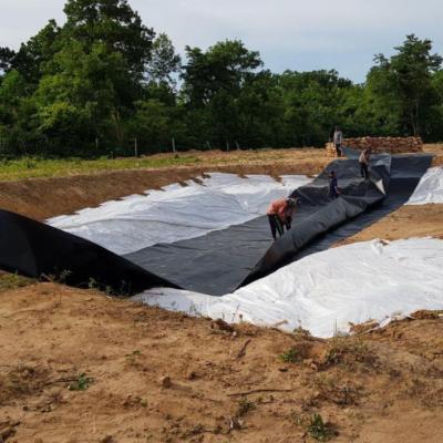 China 40 mil HDPE Geomembrane Pond Liner Reinforced Waterproofing Polyethylene 1.0mm Thickness for sale