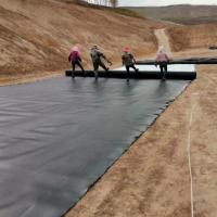 China 40 mil HDPE Geomembrane Pond Liner Reinforced Waterproofing Polyethylene 1.0mm Thickness for sale