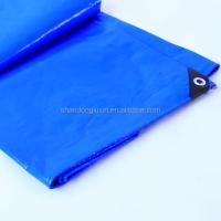 China LDPE Coated HDPE Woven Tarpaulin 50-300gsm Waterproof Trailer Cover 2m-100m Width for sale