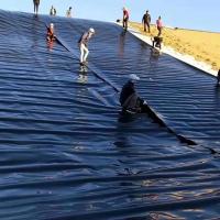 China 2mm HDPE Geomembrane Pond Liner Waterproof Membrane for Fish Tank Landfill Protection for sale