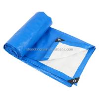 China 50-300gsm PE Tarpaulin American Tarp Waterproof Garden Cover Custom Color for sale