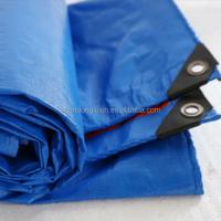 China Customized PE Tarpaulin 200g Heavy Duty Waterproof Outdoor Protection UV Treated 6x8m for sale