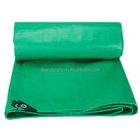 China Customized PE Tarpaulin 200g Heavy Duty Waterproof Outdoor Protection UV Treated 6x8m for sale