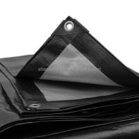 China Waterproof HDPE Coated Polyethylene Tarpaulin Fabric 50-300gsm for Truck Sheet Roll for sale