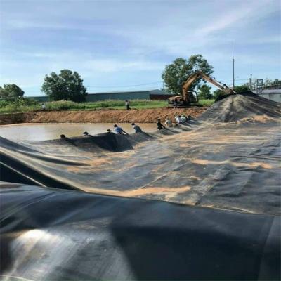 China Graphic Design Project Solutions Waterproof Membrane Pond Liner with 0.5mm Thickness for sale