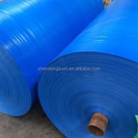 China High Surface Hardness PE Tarpaulin for Truck Customized Color 500D 120-240gsm for sale