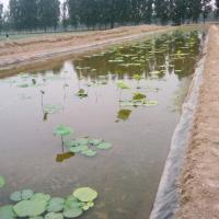 China Black HDPE Smooth Geomembrane 1.5mm Thickness for Landfill Pond Liner Waterproof for sale