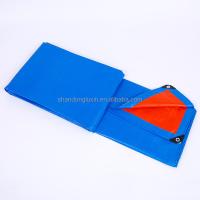 China LDPE Coated HDPE Tarpaulin Roll 150g Waterproof Anti UV Tear Resistant Outdoor Cover for sale