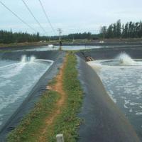 China HDPE Double Smooth Geomembrane 0.75mm-3mm for Landfill Wastewater Treatment for sale