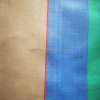 China PE Tarpaulin Waterproof Green Silver Poly Woven Fabric 50-300gsm HDPE Laminated Outdoor Cover for sale