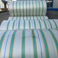 China Woven PE Tarpaulin 100-200gsm Waterproof Heavy Duty for Outdoor Cover 2-12m Width for sale
