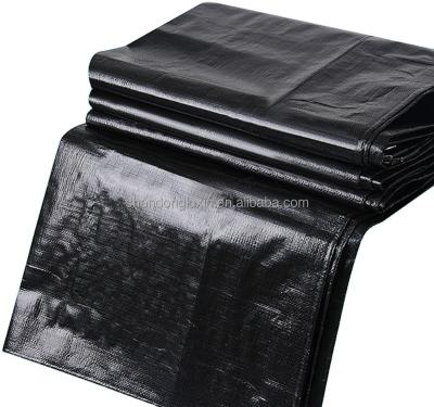 China Waterproof PE Tarpaulin 3x4m Heavy Duty All Weather Sunproof Multipurpose Cover for sale