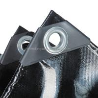 China Waterproof PE Tarpaulin 3x4m Heavy Duty All Weather Sunproof Multipurpose Cover for sale