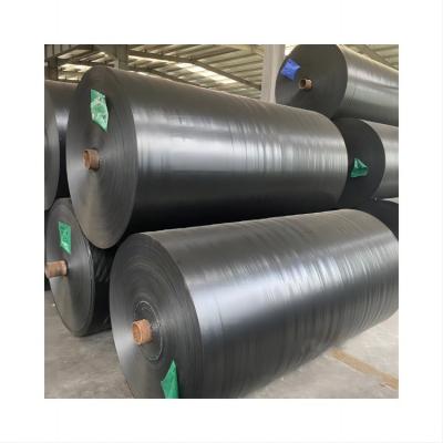 China PE Waterproof Tarpaulin for Trucks 3x4m 4x5m 4x6m Density 8x8 14x14 Heavy Duty UV Resistant for sale