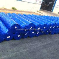 China Rainproof and Moisture-proof Polyethylene Tarpaulin Width 2-11m Density 8*8-14*14 for sale
