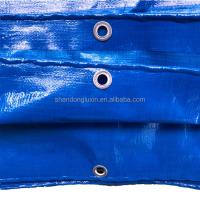 China Custom Color PE Tarpaulin Waterproof Heavy Duty 600°C Heat Sealed 4x6m Outdoor Cover for sale