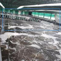 China HDPE Smooth Geomembrane 1-6m Width Acid Alkali Resistant for Fish Pond Liner for sale