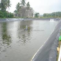 China HDPE Black Geomembrane for Fish Ponds 0.75mm to 3mm ASTM GRI-GM13 Standard for sale