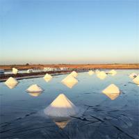 China Durable Anti-Aging Geomembrane Perfect Solution for Landfill Sites and Fish Pond Lining for sale