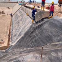 China Durable Anti-Aging Geomembrane Perfect Solution for Landfill Sites and Fish Pond Lining for sale