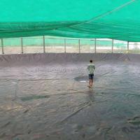 China Black HDPE Geomembrane 0.75mm Anti Puncture Acid Alkali Resistant Fish Pond Liner for sale