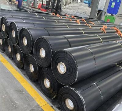 China HDPE EVA Geomembrane 1mm 2mm Thickness for Fish Pond Landfill Waterproof Liner for sale