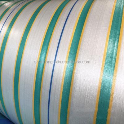 China 2-11m Width UV Resistant Tarpaulin Keep Your Car Safe from Sunlight and Moisture for sale