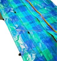 China UV Protect PE Tarpaulin Sheet 2-12m Width 60-250gsm for Agriculture Industrial Cover for sale