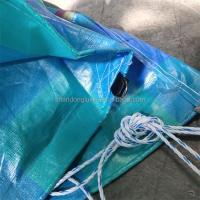 China UV Protect PE Tarpaulin Sheet 2-12m Width 60-250gsm for Agriculture Industrial Cover for sale