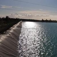 China Modern Design Geomembrane for Fish Ponds Smooth and Long-Lasting for sale