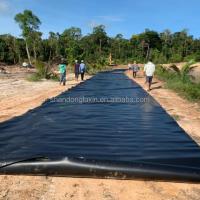 China Double Smooth Surface Geomembrane 1mm 2mm for Environmentally Friendly Landfill Sites for sale