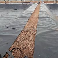 China HDPE Smooth Geomembrane 1mm 2mm Thickness ASTM GRI-GM13 for Culverts for sale