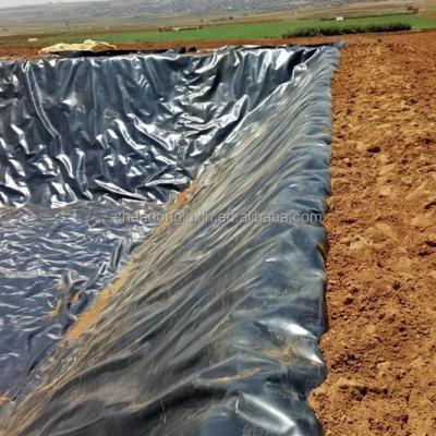 China HDPE Smooth Geomembrane 0.75mm-3.0mm for Landfill Slope Protection Waterproof Liner for sale