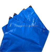 China High Surface Hardness PE Tarpaulin 120-240 gsm Waterproof Sun Blocking Outdoor Agriculture Cover for sale