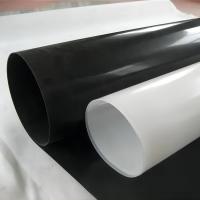 China Double Smooth HDPE Geomembrane Fish Pond Liner 0.5mm 2mm Waterproof Material for sale