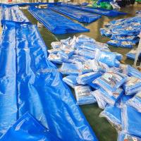 China Waterproof Silver Blue PE Tarpaulin 2-12m Width 60-250gsm for Canopy Tent Boat Pool Cover for sale