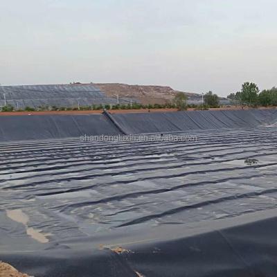 China 2mm HDPE Geomembrane Waterproof Liner for Fish Pond Dam and Aquaculture for sale