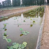 China HDPE Pond Liner 0.75mm 1.0mm Geomembrane for Aquaculture Shrimp Farming Fish Pond for sale
