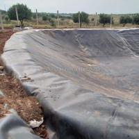 China Waterproofing HDPE Geomembrane Pond Liner for Environmentally Friendly Energy Saving for sale