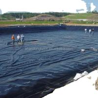 China HDPE Smooth Geomembrane 1mm 2mm Waterproof Liner for Pond Landfill Anti-Seepage for sale
