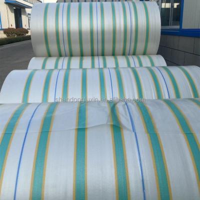 China Customized Color PE Woven Tarpaulin Fabric Waterproof Heavy Duty 500D 8x8 100-200gsm for sale